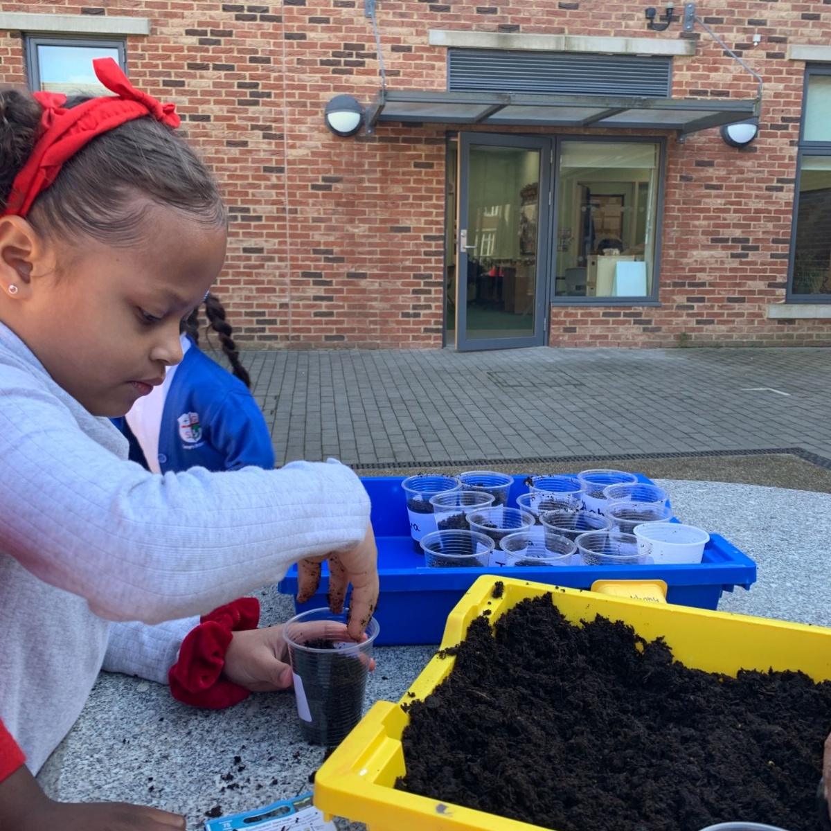 St George's CE Primary School - Spectacular Seeds!