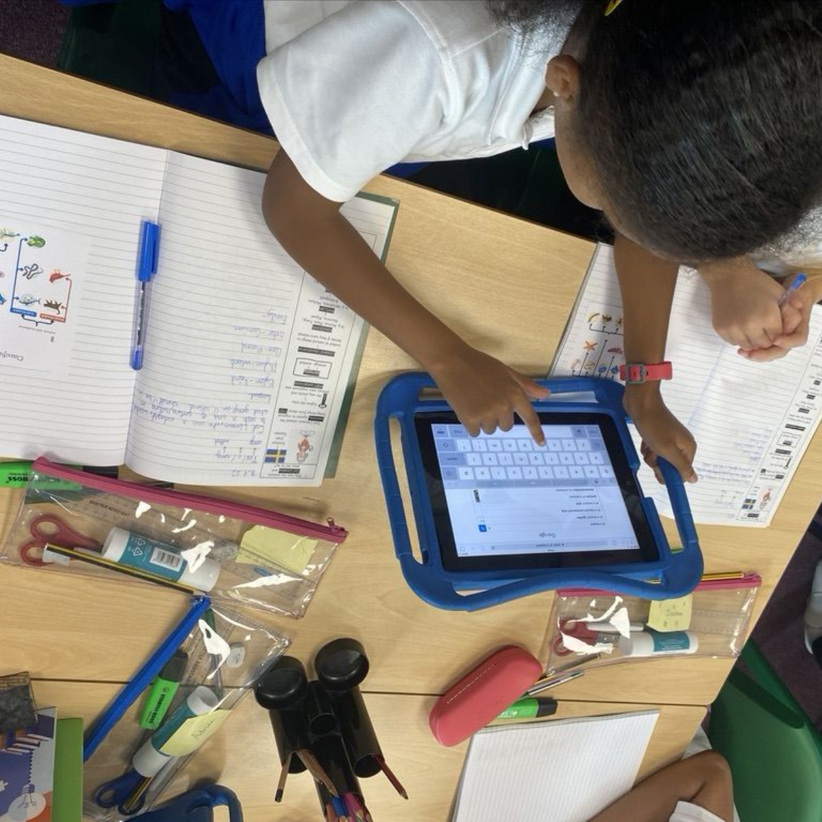 St George's CE Primary School - Cracking Classification!