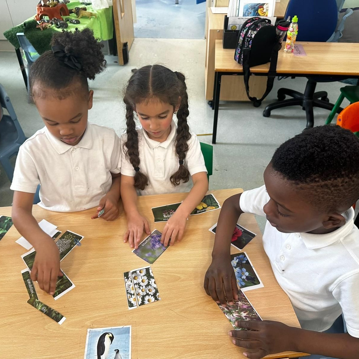 St George's CE Primary School - Year 1 scientists – Wild and Free!