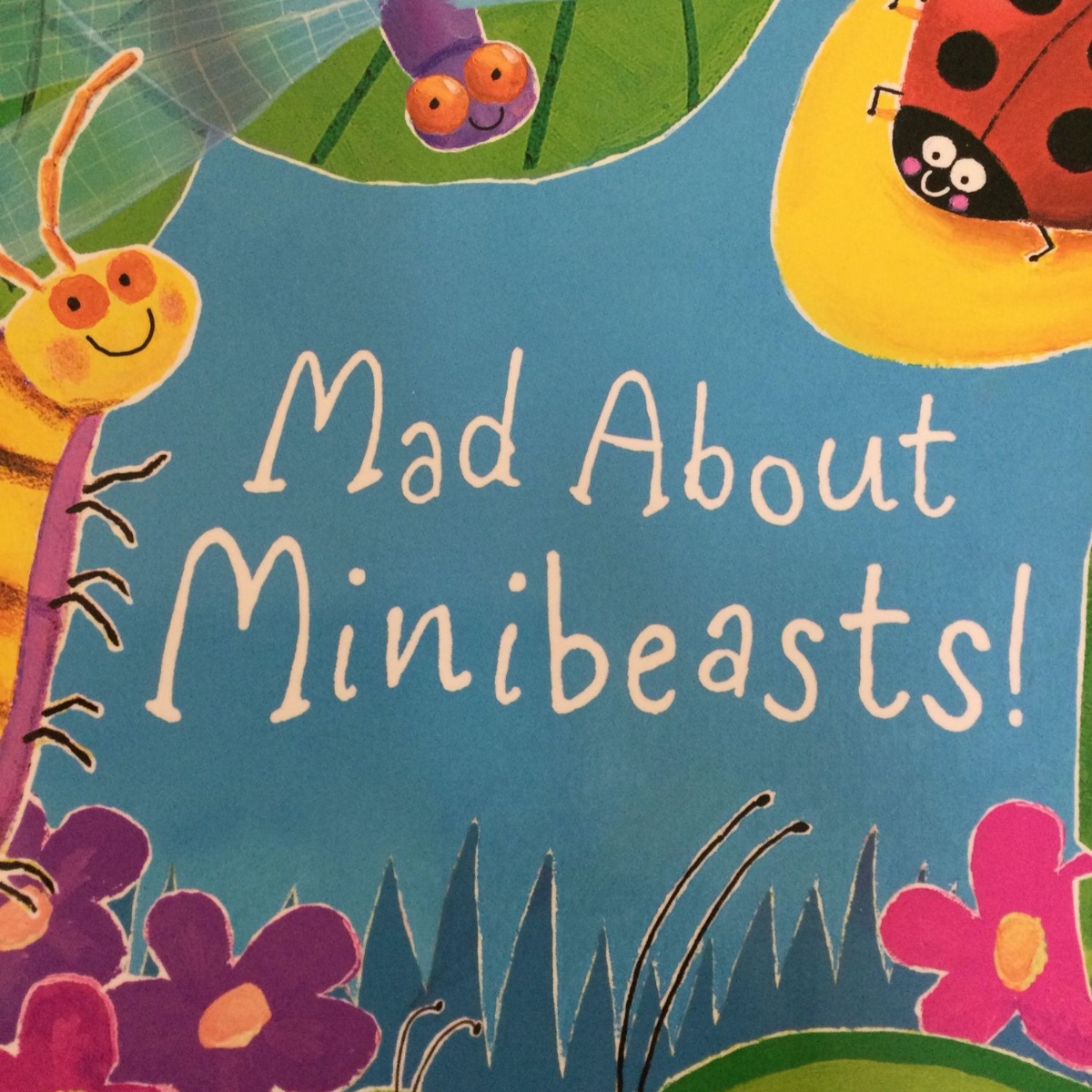 St George's CE Primary School - Mad About Minibeasts!