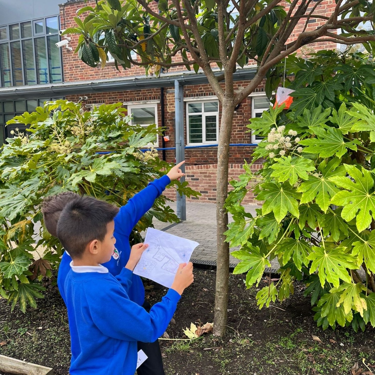 St George's CE Primary School - Awesome Orienteering!