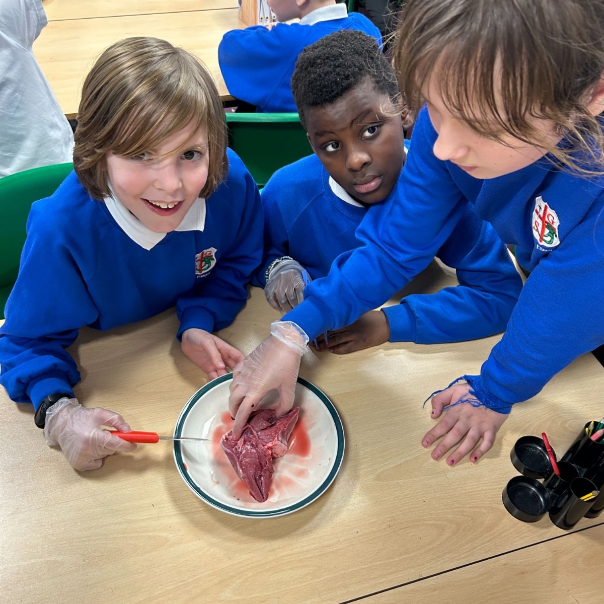 St George's CE Primary School - Dissection Discovery!