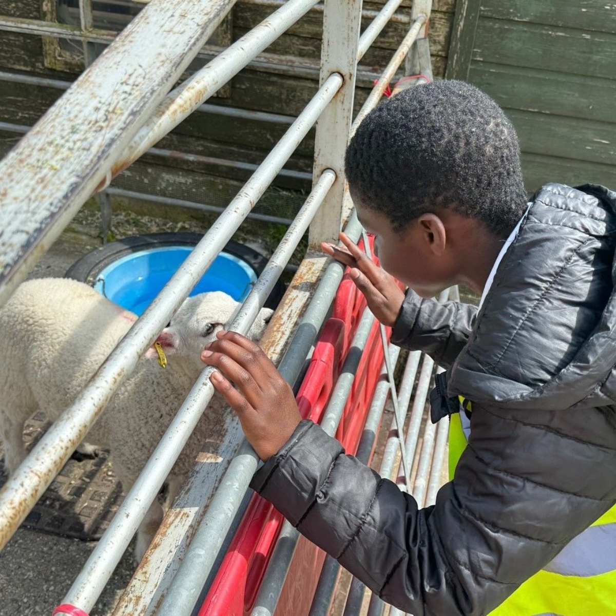 St George's CE Primary School - Fun at the Farm!