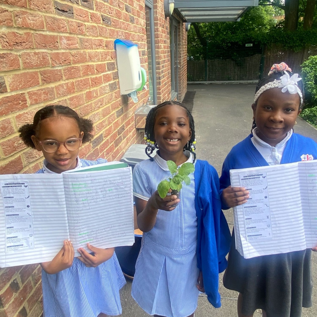 St George's CE Primary School - Growing Vegetables with Benjamin Class